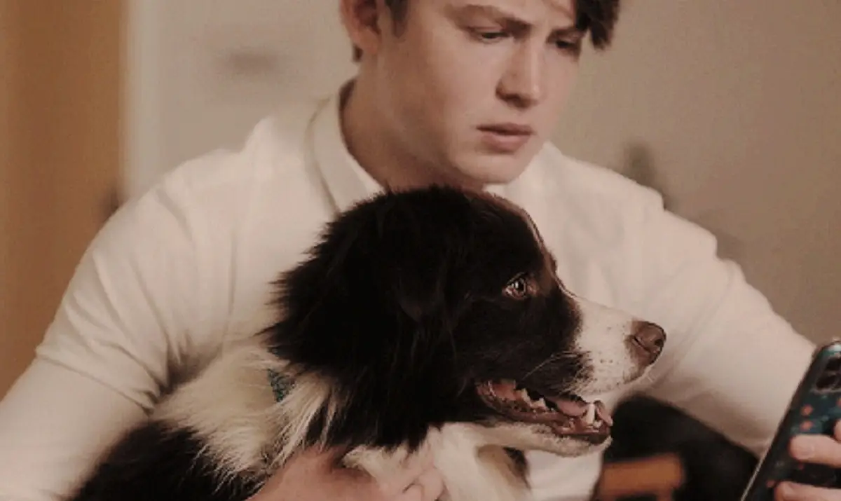 Heartstopper: Qual é a raça da Nellie ? A cadela do Nick ! » DigiCartaz